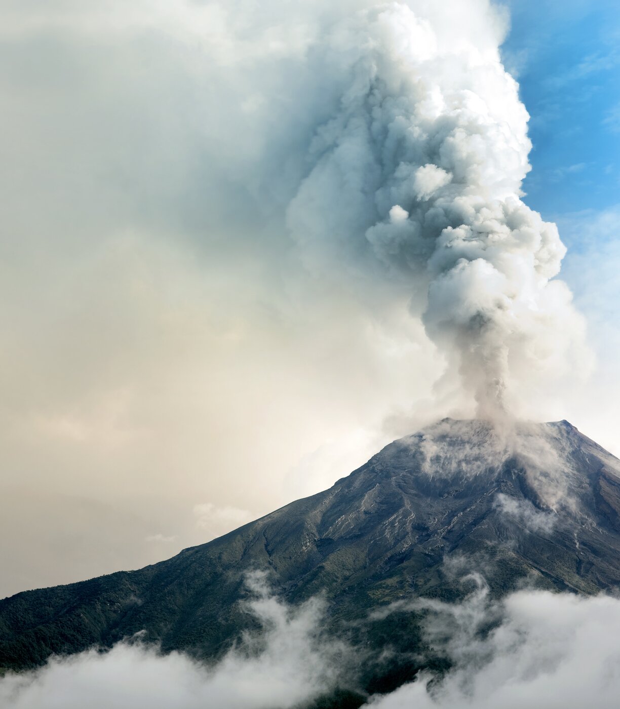 Moodboard portrait | IGP Powder Coatings